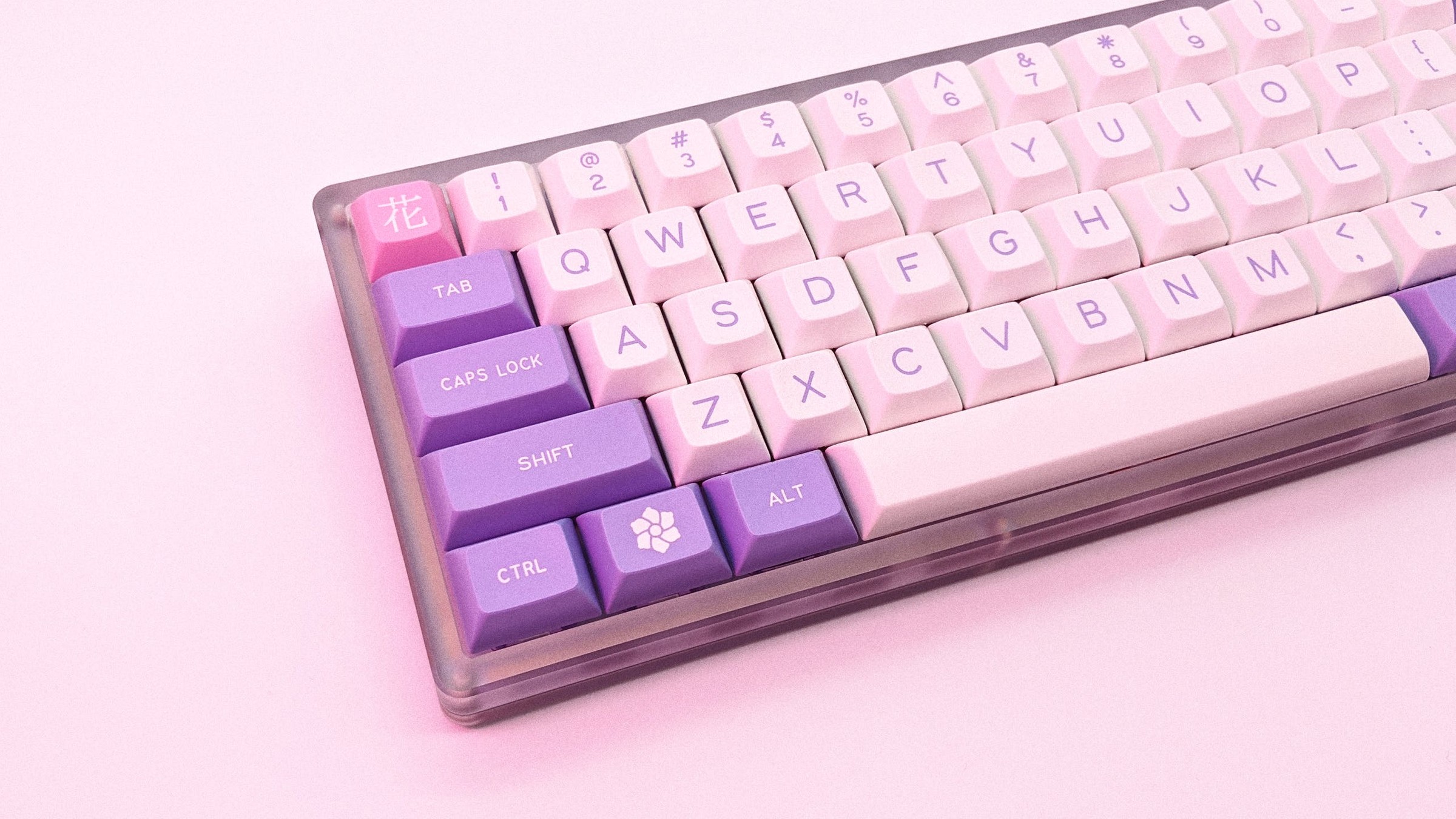 DSA Hana | elguey.mk